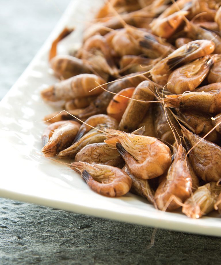 Auvergne marée I crevettes, coquillages et crustacés cuits
